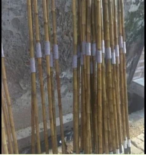 Bamboo Wooden Javelin Stick Size 8 Feet At ₹ 150 Piece In Meerut Id