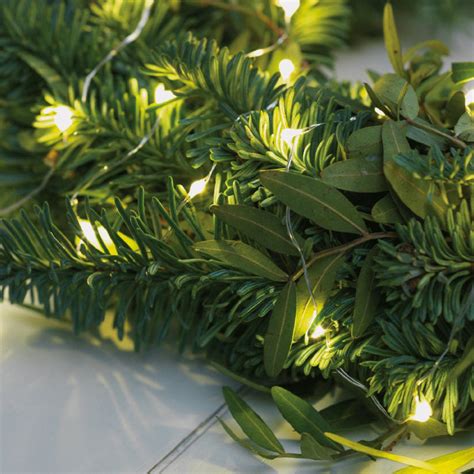 Micro Led String Lights 8 Function Twinkle Effect Silver Warm White 1 — Mid Ulster Garden Centre