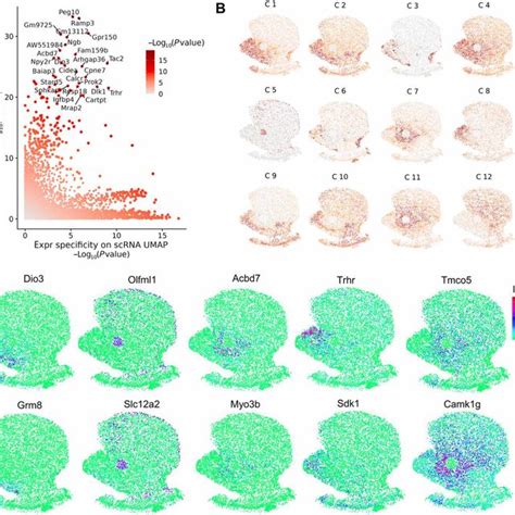 Ispatial Enables Whole Transcriptome Level Spatial Analysis A Download Scientific Diagram