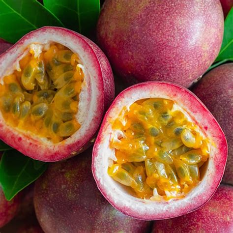 Tropical Fruits List Webstaurantstore