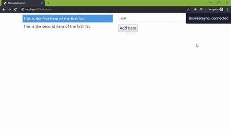 Practice JavaScript And Learn The DOM Adding Items