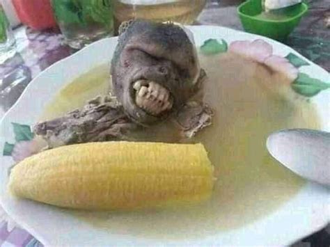 I Present You Monkey Soup 9gag