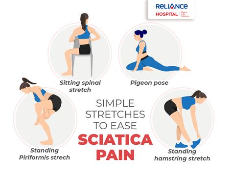Physiotherapy Exercises For Sciatica At Jimmie Mireles Blog