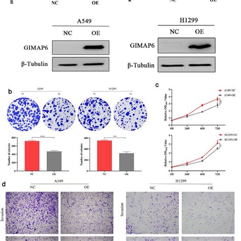 Differential Expression Of Nalcn A Expression Of Nalcn In Normal