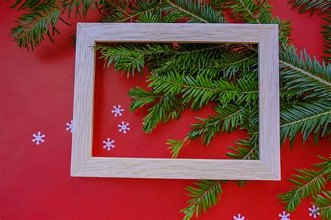 크리스마스 트리 가지가 흰색 색조를 가로 질러 빨간색 배경에 클로즈업 크리스마스 프레임 공간을 복사합니다 맨 위 보기입니다 크리스마스 엽서 디자인 0명에 대한 스톡 사진 및