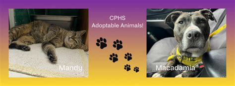 Dennis J Daugherty Dennis J Daugherty Funeral Home