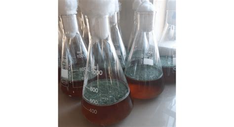 What Is Trichoderma And How It Is Beneficial Morning Ag Clips