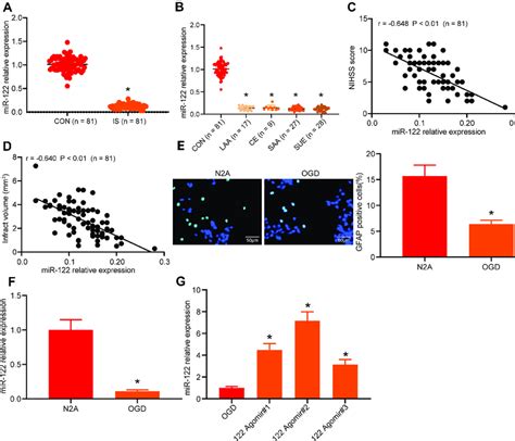 Mir 122 Is Downregulated In Serum Of Is Patients And Ogd Treated