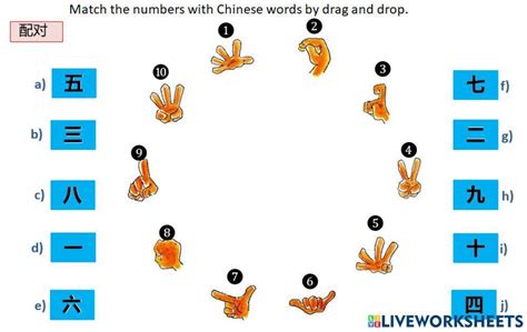 Chinese Numbers Free Interactive Worksheets 1810596