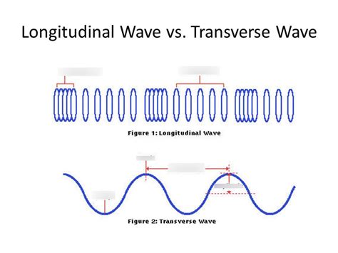 Diagram Of Waves Quizlet
