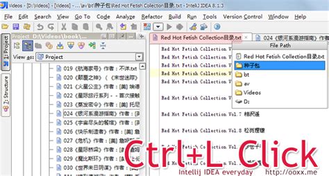 Intellij Idea File Path 大猫的无限游戏