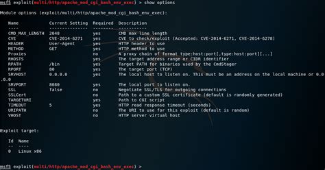 Why I Love Shellshock