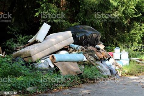 높은 잔디와 숲 식물로 둘러싸인 국내 쓰레기로 가득 찬 지역 포장 된 숲 도로 근처의 불법 쓰레기 덤프 0명에 대한 스톡 사진 및 기타 이미지 Istock