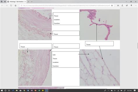 7 Diagram Quizlet