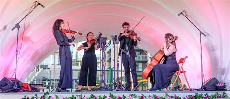 Taylor Swift Reimagined Strings Version A Valentines Weekend Concert With An Interactive