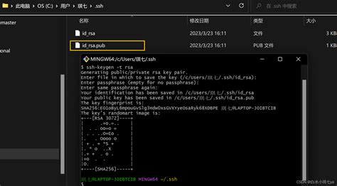 git 的使用 csdn博客