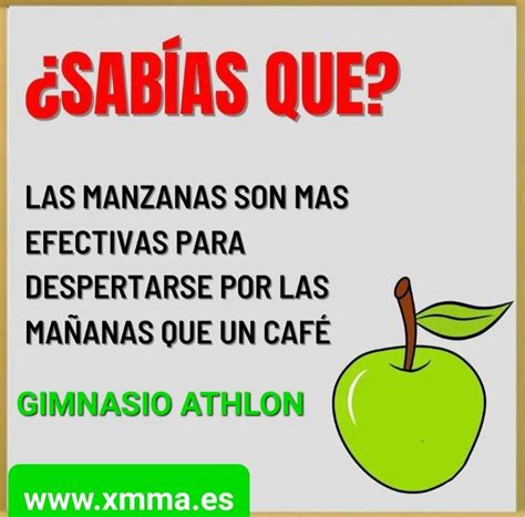 Beneficios De La Manzana Para Los Deportistas Gimnasio Xma Artes
