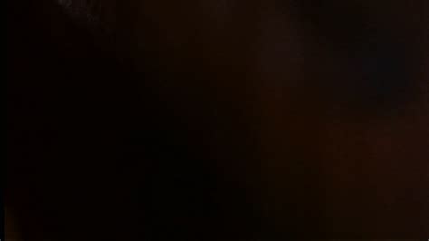 Opus 21 Marilyn Chambers Eporner