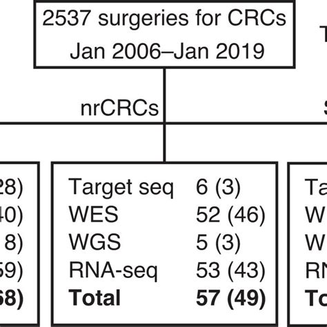 Clonal Analysis Of Metachronous And Synchronous Tumors Metachronous Download Scientific