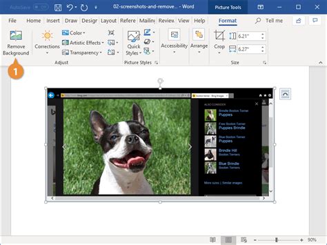 How To Remove Background Color From Image In Word CustomGuide