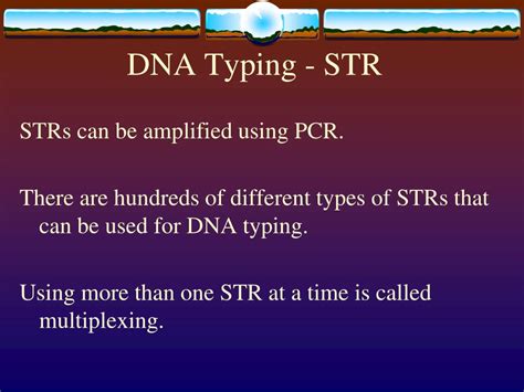 Ppt Dna Typing Pcr Powerpoint Presentation Free Download Id 3922147