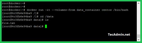 Docker Data Volumes Tecadmin