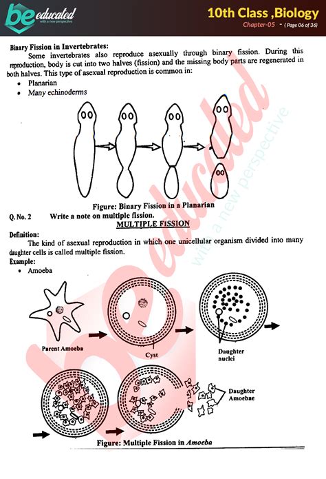 Chapter 5 Biology 10th Class Notes Matric Part 2 Notes