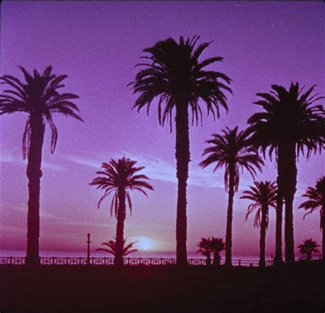 Sans Titre On Tumblr