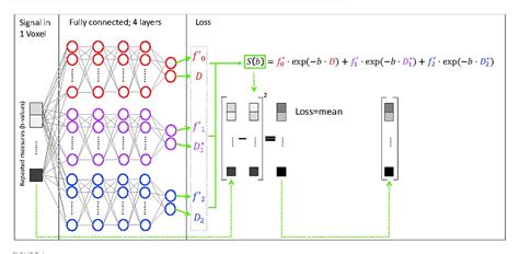 Figure 1 From Self Supervised Neural Network Improves Tri Exponential
