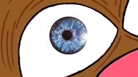 Ytp Hibernate Youtube