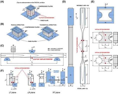 Schemes Of The Experiments Adopted From Milch Et Al 2016