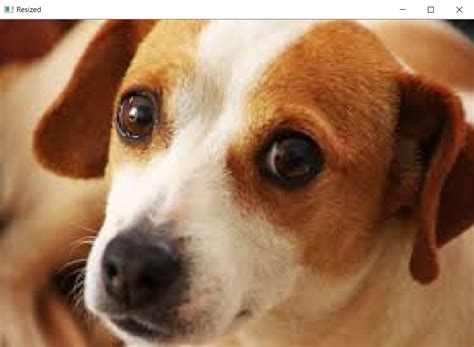 Opencv 教程:python 学习 Opencv 指南 Plato Aistream V21 Opencv 教程:python 学习 Opencv 指南 Plato Aistream V21