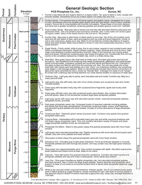 Aurora Phosphate Mine Aurora Fossil Museum