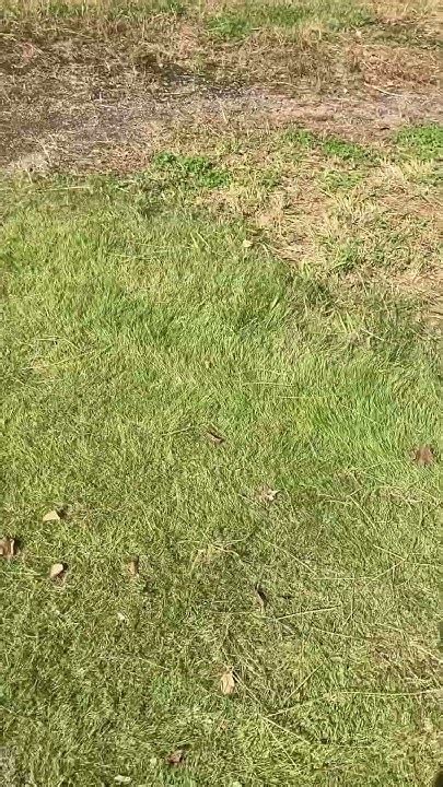 のどかな公園に来たよ！ 公園 良い天気 Youtube