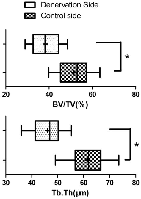 Bone Histomorphometric Analysis í µí±¥í µí±¥̅ ±s Of The New Bone At
