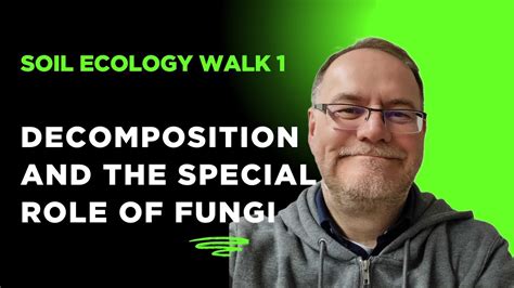 Soil Ecology Walk The Role Of Fungi In Decomposition Fungus Fungi