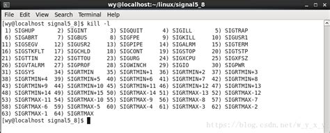 Linux：信号（1）：signal函数、pause函数、alarm函数alarm和signal Csdn博客