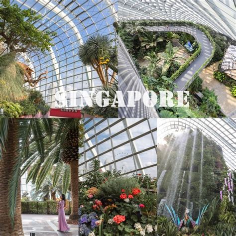싱가포르 여행 가볼만한곳 가든스바이더베이 입장권 준비 네이버 블로그