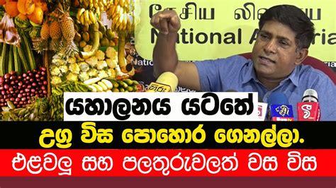 යහාලනය යටතේ උග්‍ර විස පොහොර ගෙනල්ලා එළවලු සහ පලතුරුවලත් වස විස Youtube
