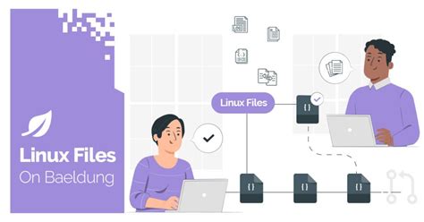 Learn How File Permissions Work For The Root User How Root Can
