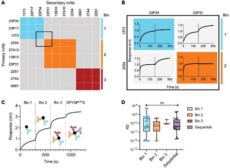 Conformational Epitope Binning Of Ara H 2 Specific Antibodies A Download Scientific Diagram