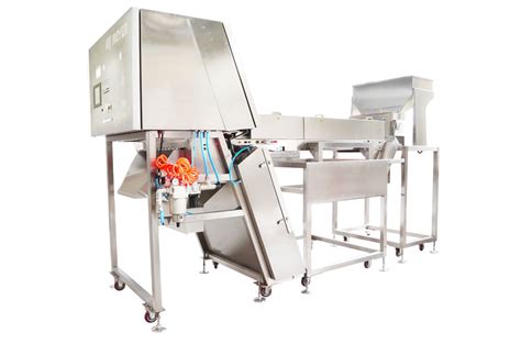 Cashew Kernel Grading And Colour Sorting Machine