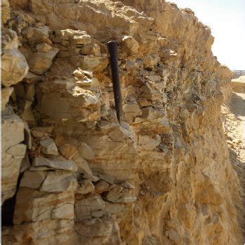 Soil Structure As Site Download Scientific Diagram