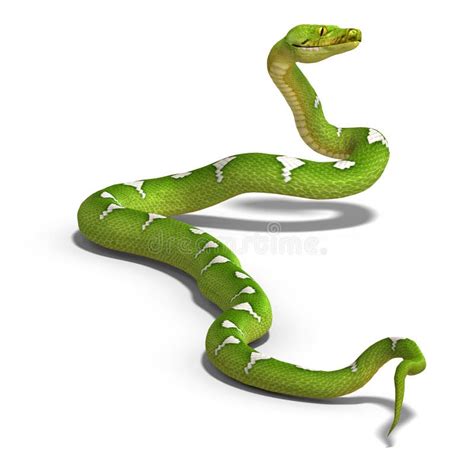 Python Stock Illustrations 33040 Python Stock Illustrations Vectors And Clipart Dreamstime