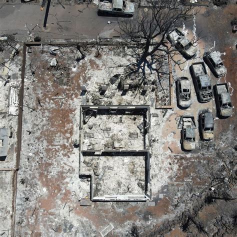 AI Model By Aalto University Team Can Predict How To Prevent Wildfires