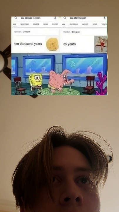 What A Difference In Lifespan Meme Youtube