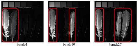 Remote Sensing Free Full Text Hyformer Hybrid Grouping Aggregation Transformer And Wide