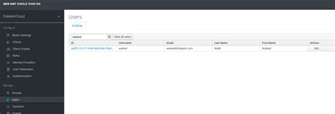 How To Grant Admin Privileges To User Stakater App Agility Platform