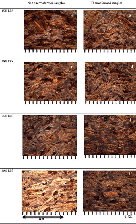Microstructure Of Samples Observed With Optical Microscope Download Scientific Diagram