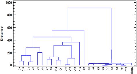 Dendrogram Of Squared Euclidean Distances Wards Method Between